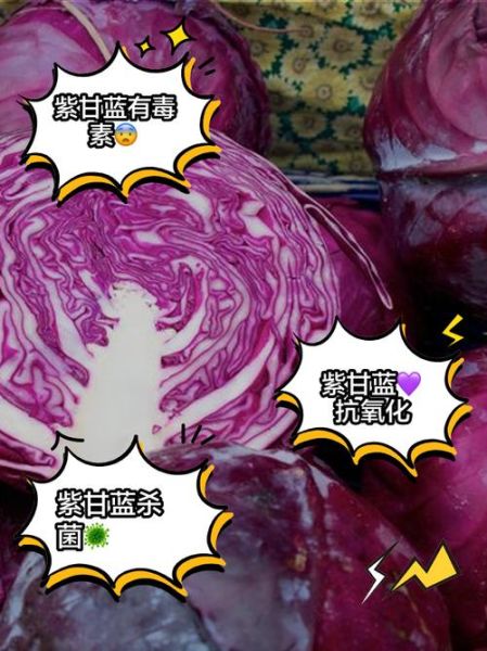 紫甘蓝的功效与禁忌_什么人不能吃-第2张图片-山城妙识 紫甘蓝的功效与禁忌_什么人不能吃-第2张图片-山城妙识