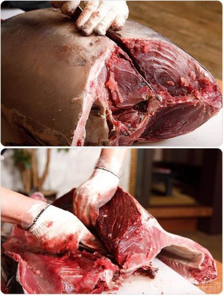 吞拿鱼是海鲜吗_吞拿鱼属于哪类食材-第2张图片-山城妙识 吞拿鱼是海鲜吗_吞拿鱼属于哪类食材-第2张图片-山城妙识