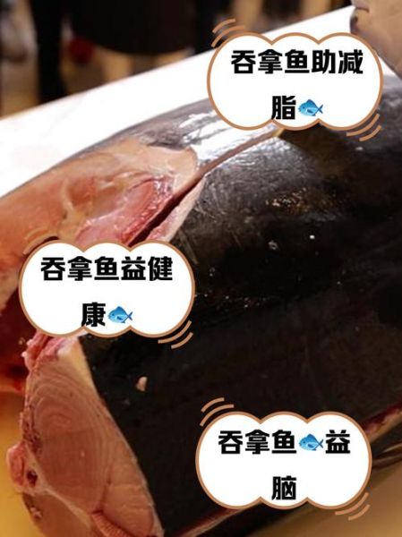 吞拿鱼是海鲜吗_吞拿鱼属于哪类食材-第1张图片-山城妙识 吞拿鱼是海鲜吗_吞拿鱼属于哪类食材-第1张图片-山城妙识