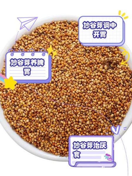 谷芽的功效与作用有哪些_谷芽主治什么病-第1张图片-山城妙识