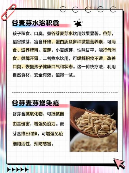 谷芽的功效与作用有哪些_谷芽主治什么病-第2张图片-山城妙识