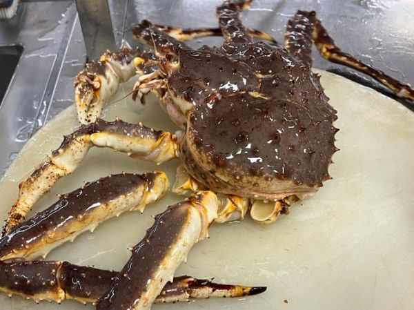 皇帝蟹价格多少一斤_皇帝蟹多少钱一斤2024-第3张图片-山城妙识