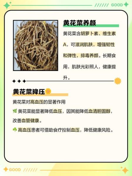 黄花有什么营养价值_黄花怎么吃最健康-第3张图片-山城妙识