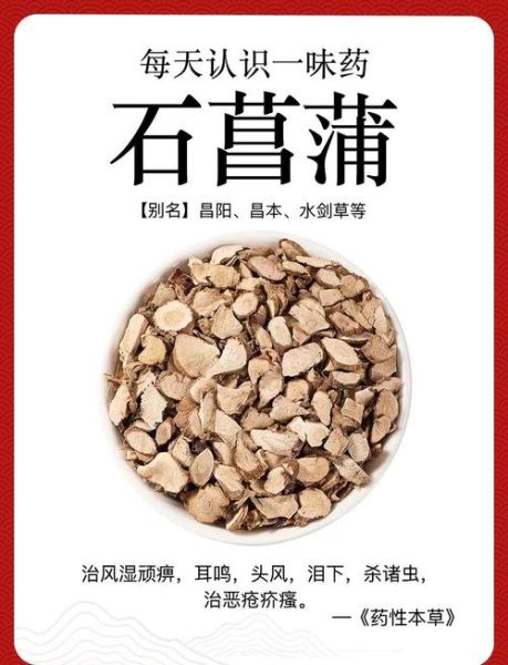 石菖蒲的功效与作用_石菖蒲怎么吃效果最好-第1张图片-山城妙识