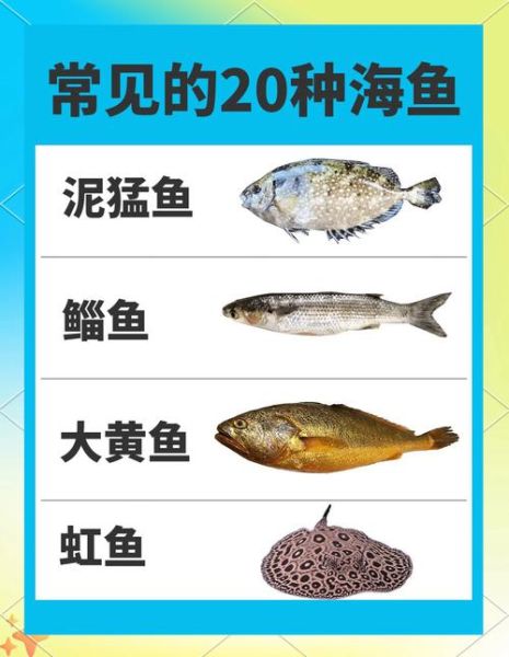 常见的海鱼有哪几种_如何挑选新鲜海鱼-第2张图片-山城妙识