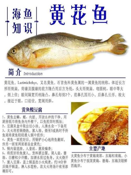 常见的海鱼有哪几种_如何挑选新鲜海鱼-第3张图片-山城妙识