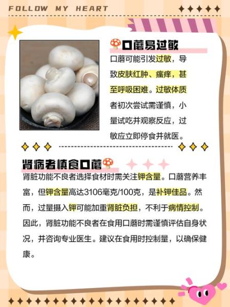 口蘑的功效与作用及禁忌_口蘑什么人不能吃-第1张图片-山城妙识