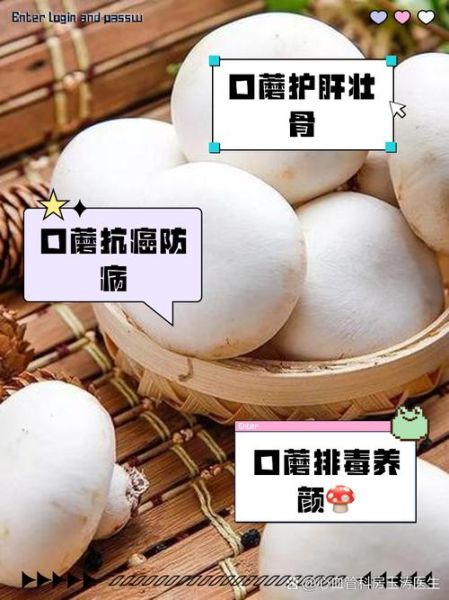 口蘑的功效与作用及禁忌_口蘑什么人不能吃-第2张图片-山城妙识