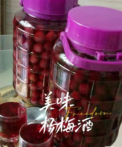 杨梅泡酒怎么做_杨梅泡酒用什么酒最好-第1张图片-山城妙识