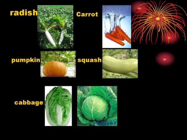 what_is_white_radish_benefits_how_to_cook_white_radish-第1张图片-山城妙识 what_is_white_radish_benefits_how_to_cook_white_radish-第1张图片-山城妙识