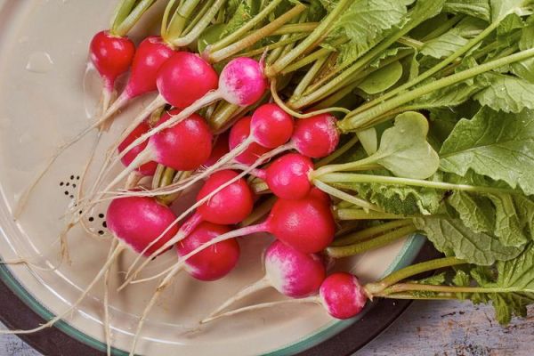 what_is_white_radish_benefits_how_to_cook_white_radish-第2张图片-山城妙识 what_is_white_radish_benefits_how_to_cook_white_radish-第2张图片-山城妙识