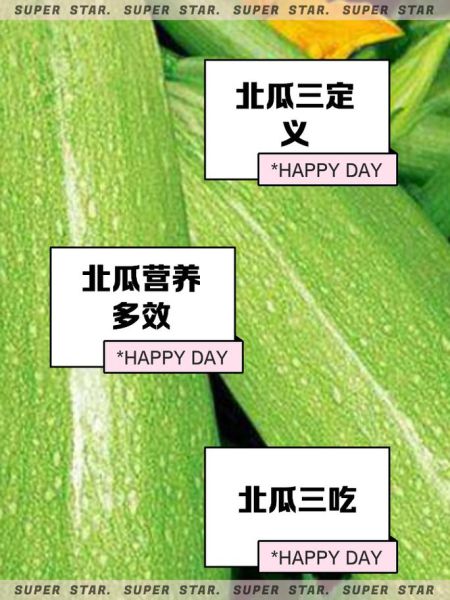 北瓜长什么样子_北瓜和南瓜的区别-第3张图片-山城妙识 北瓜长什么样子_北瓜和南瓜的区别-第3张图片-山城妙识
