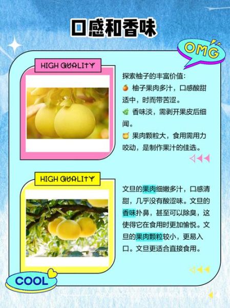 文旦的功效与作用_文旦和柚子有什么区别-第2张图片-山城妙识 文旦的功效与作用_文旦和柚子有什么区别-第2张图片-山城妙识