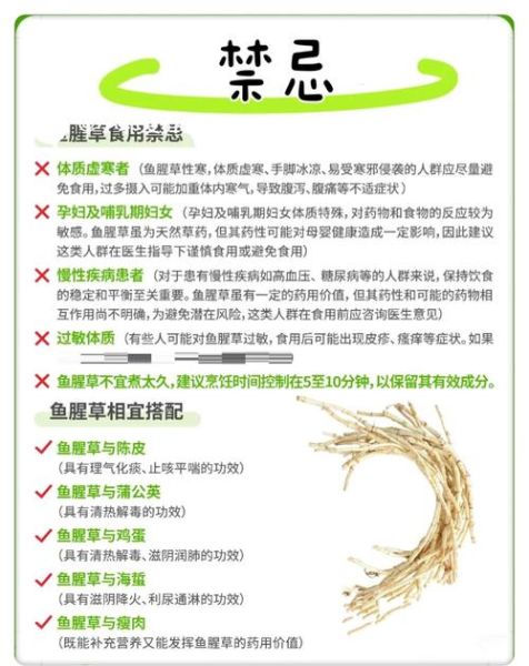 鱼腥草能长期泡水喝吗_鱼腥草的功效与禁忌-第2张图片-山城妙识