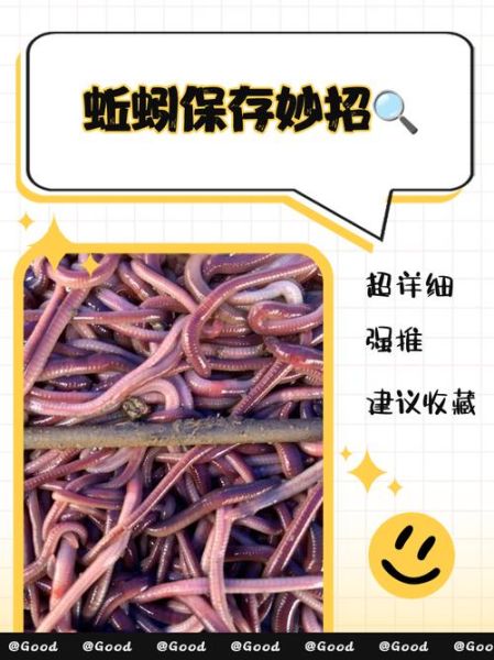 蚯蚓怎么养_蚯蚓吃什么长得快-第1张图片-山城妙识
