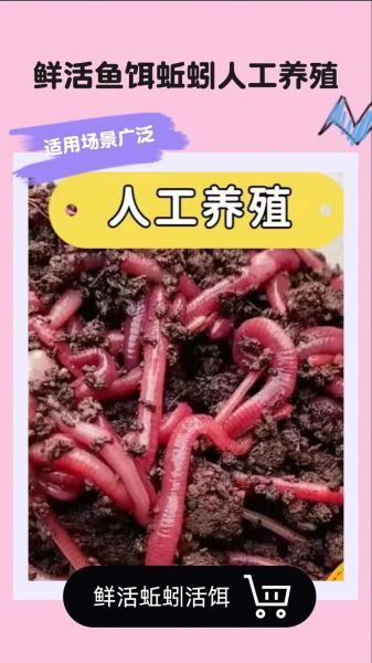 蚯蚓怎么养_蚯蚓吃什么长得快-第2张图片-山城妙识