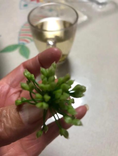 新鲜韭菜花怎么保存_新鲜韭菜花怎么腌制-第3张图片-山城妙识