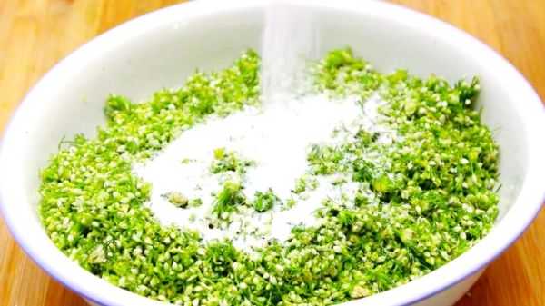 新鲜韭菜花怎么保存_新鲜韭菜花怎么腌制-第2张图片-山城妙识