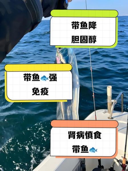 带鱼的营养价值及功效禁忌_什么人不能吃带鱼-第2张图片-山城妙识