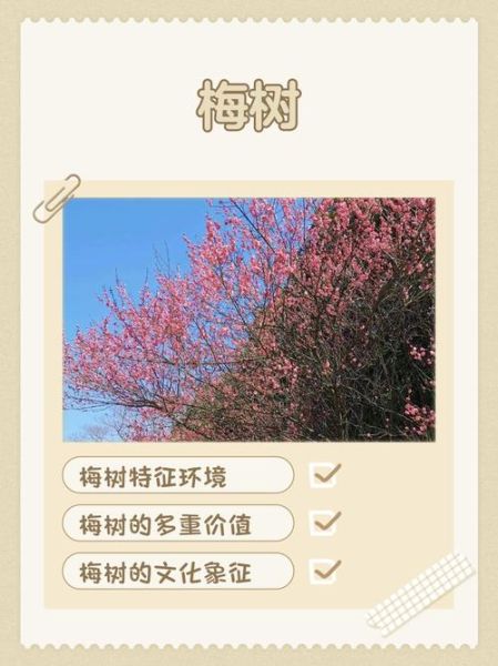 树梅图片怎么拍_树梅图片怎么调色-第3张图片-山城妙识 树梅图片怎么拍_树梅图片怎么调色-第3张图片-山城妙识