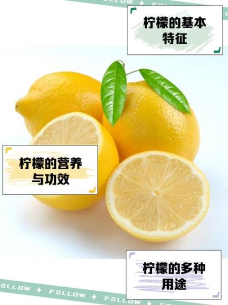 柠檬的拼音怎么写_柠檬的正确读音是什么-第1张图片-山城妙识 柠檬的拼音怎么写_柠檬的正确读音是什么-第1张图片-山城妙识