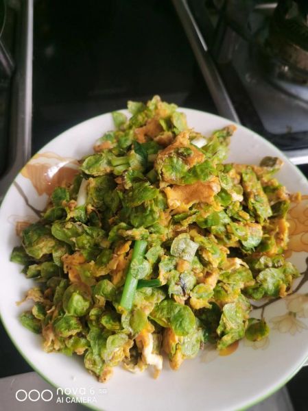 榆钱蒸菜怎么做_榆钱蒸菜的家常做法-第1张图片-山城妙识