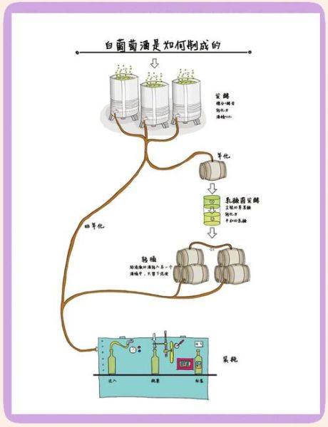 法国葡萄酒制作方法_法国葡萄酒酿造步骤-第3张图片-山城妙识 法国葡萄酒制作方法_法国葡萄酒酿造步骤-第3张图片-山城妙识
