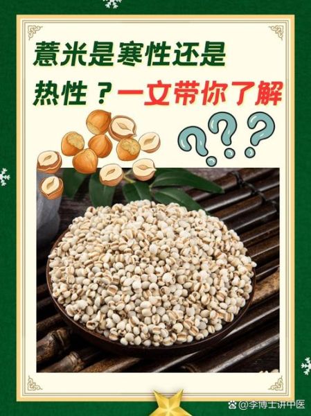 薏米是凉性还是热性_体寒能吃薏米吗-第3张图片-山城妙识 薏米是凉性还是热性_体寒能吃薏米吗-第3张图片-山城妙识