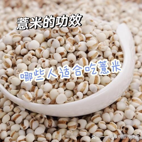 薏米是凉性还是热性_体寒能吃薏米吗-第2张图片-山城妙识 薏米是凉性还是热性_体寒能吃薏米吗-第2张图片-山城妙识