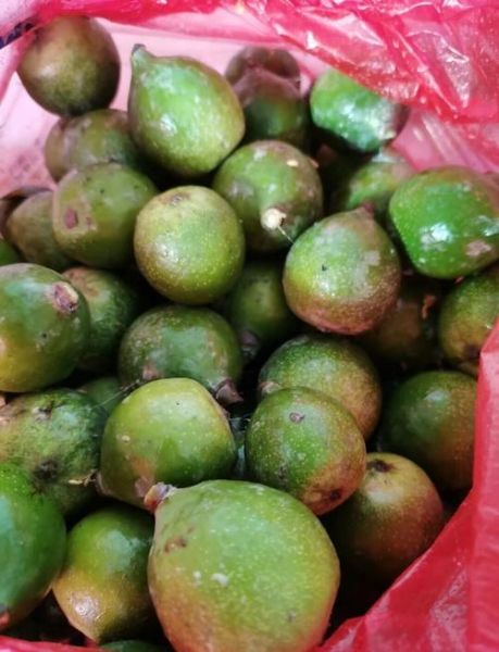 冰粉籽的功效与作用_冰粉籽可以天天吃吗-第3张图片-山城妙识 冰粉籽的功效与作用_冰粉籽可以天天吃吗-第3张图片-山城妙识