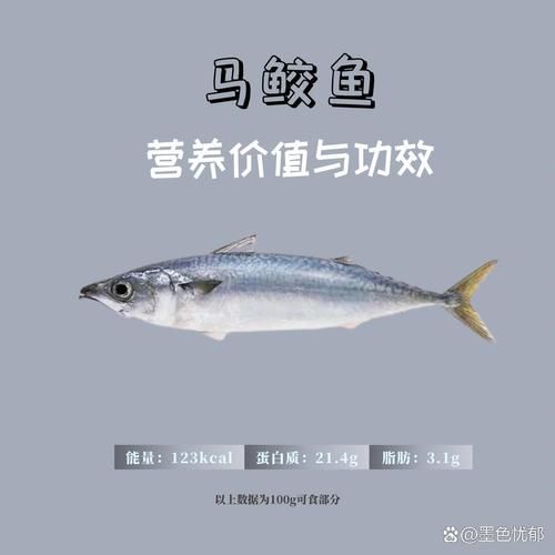 马鲛鱼的营养价值_孕妇能吃吗-第3张图片-山城妙识