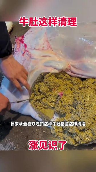 牛肚怎么清洗_牛肚焯水多久才脆-第2张图片-山城妙识
