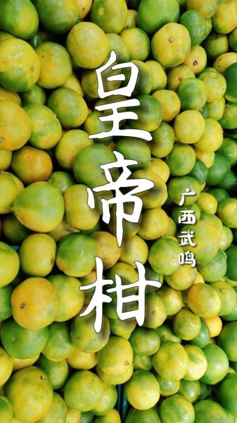 皇帝柑上火吗_皇帝柑吃多了会上火吗-第1张图片-山城妙识 皇帝柑上火吗_皇帝柑吃多了会上火吗-第1张图片-山城妙识