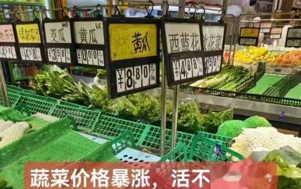北京蔬菜价格表今日价格_哪些菜涨价了-第3张图片-山城妙识
