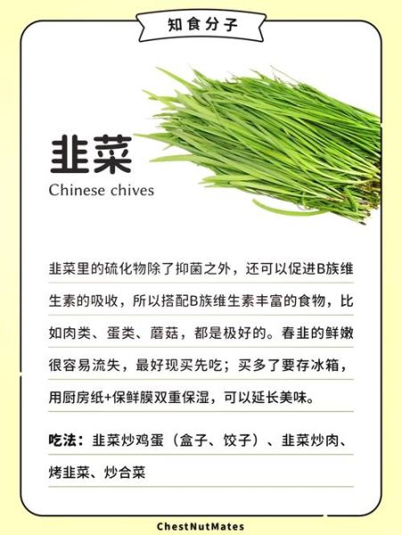 青菜大全有哪些_怎么做最好吃-第3张图片-山城妙识 青菜大全有哪些_怎么做最好吃-第3张图片-山城妙识