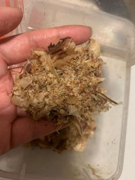 木鱼花多少钱_木鱼花价格怎么算-第2张图片-山城妙识 木鱼花多少钱_木鱼花价格怎么算-第2张图片-山城妙识