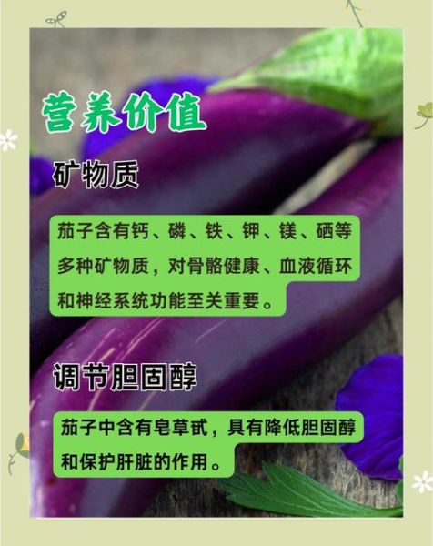 茄子有什么营养价值_茄子能降血压吗-第2张图片-山城妙识 茄子有什么营养价值_茄子能降血压吗-第2张图片-山城妙识