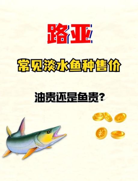 淡水鱼今日价格_淡水鱼行情为何波动大-第3张图片-山城妙识 淡水鱼今日价格_淡水鱼行情为何波动大-第3张图片-山城妙识