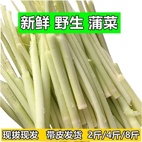 蒲菜的功效与作用禁忌_什么人不能吃-第3张图片-山城妙识