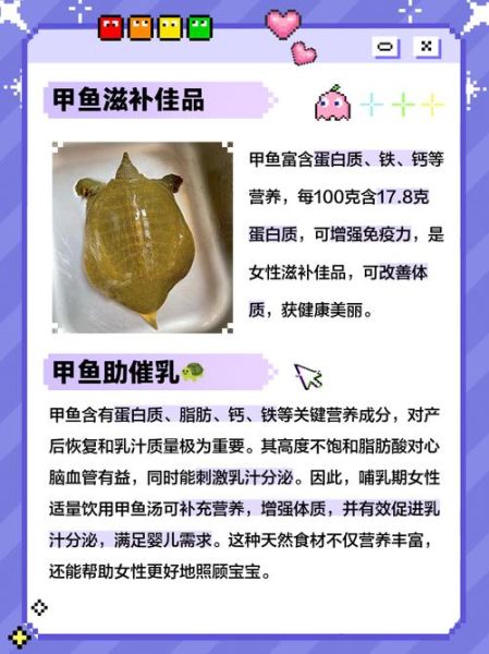 女人喝王八汤的功效_女人喝王八汤有什么禁忌-第1张图片-山城妙识 女人喝王八汤的功效_女人喝王八汤有什么禁忌-第1张图片-山城妙识