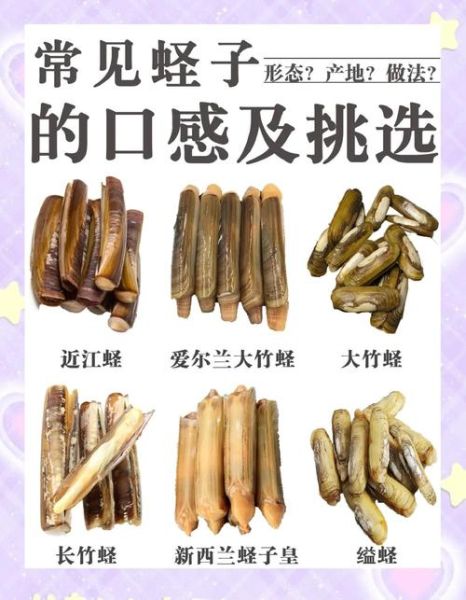 蛏子不能和什么一起吃_蛏子相克食物有哪些-第2张图片-山城妙识