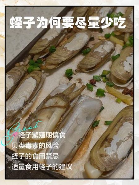 蛏子不能和什么一起吃_蛏子相克食物有哪些-第1张图片-山城妙识