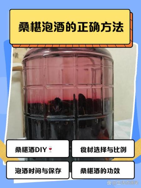 桑椹泡酒喝有什么作用_桑椹泡酒的功效与禁忌-第2张图片-山城妙识