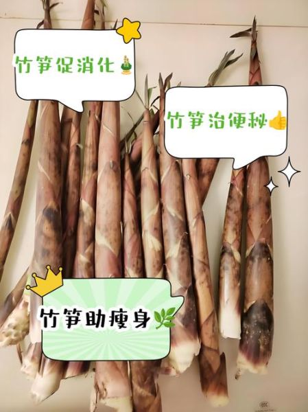 春笋的营养价值_春笋怎么吃最健康-第1张图片-山城妙识