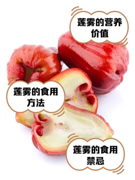 释迦和莲雾的区别_释迦和莲雾哪个好吃-第1张图片-山城妙识 释迦和莲雾的区别_释迦和莲雾哪个好吃-第1张图片-山城妙识