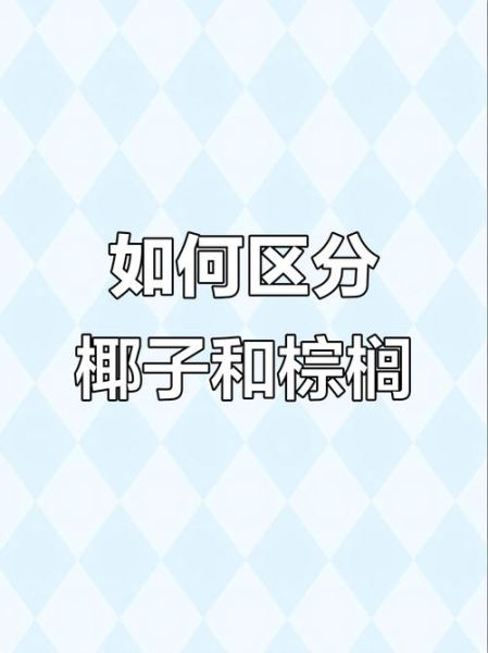 椰子树和棕榈树的区别_如何快速区分-第3张图片-山城妙识