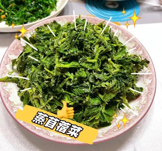 苜蓿芽菜怎么吃_苜蓿芽菜可以生吃吗-第2张图片-山城妙识 苜蓿芽菜怎么吃_苜蓿芽菜可以生吃吗-第2张图片-山城妙识