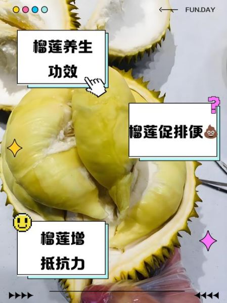 冻榴莲营养价值高吗_冻榴莲功效与作用有哪些-第2张图片-山城妙识 冻榴莲营养价值高吗_冻榴莲功效与作用有哪些-第2张图片-山城妙识