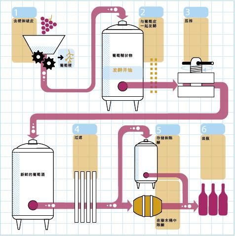 葡萄酒怎么酿制_葡萄酒酿制全过程-第1张图片-山城妙识