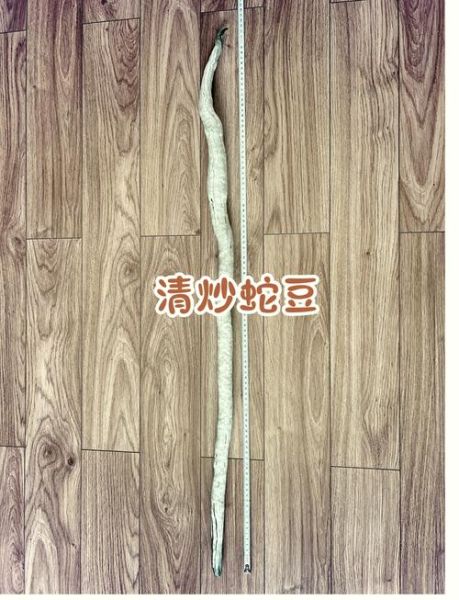 蛇豆角怎么炒好吃_蛇豆角的做法大全-第1张图片-山城妙识